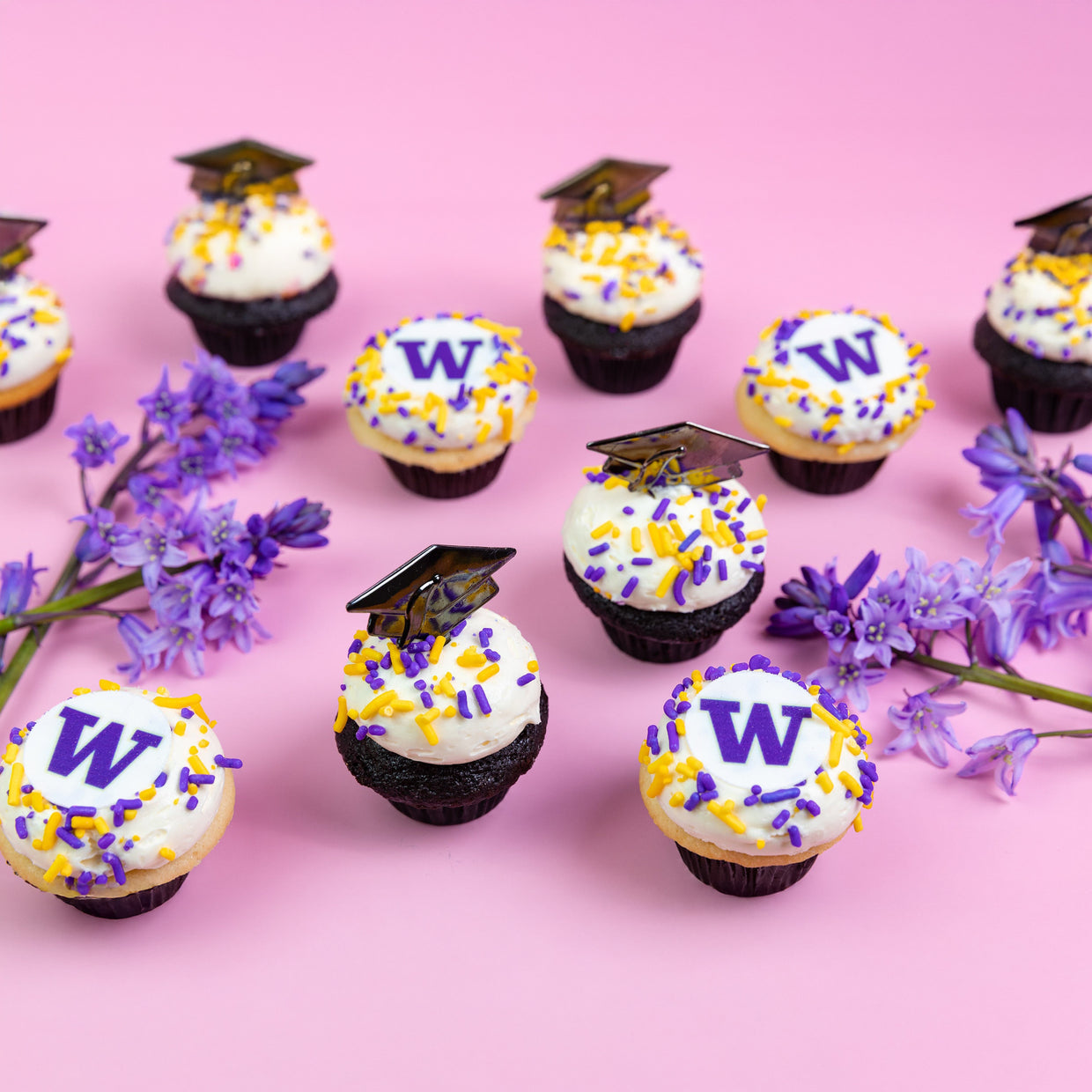 Celebrate Your UW Grad with 2 Dozen Mini Cupcakes – Trophy Cupcakes