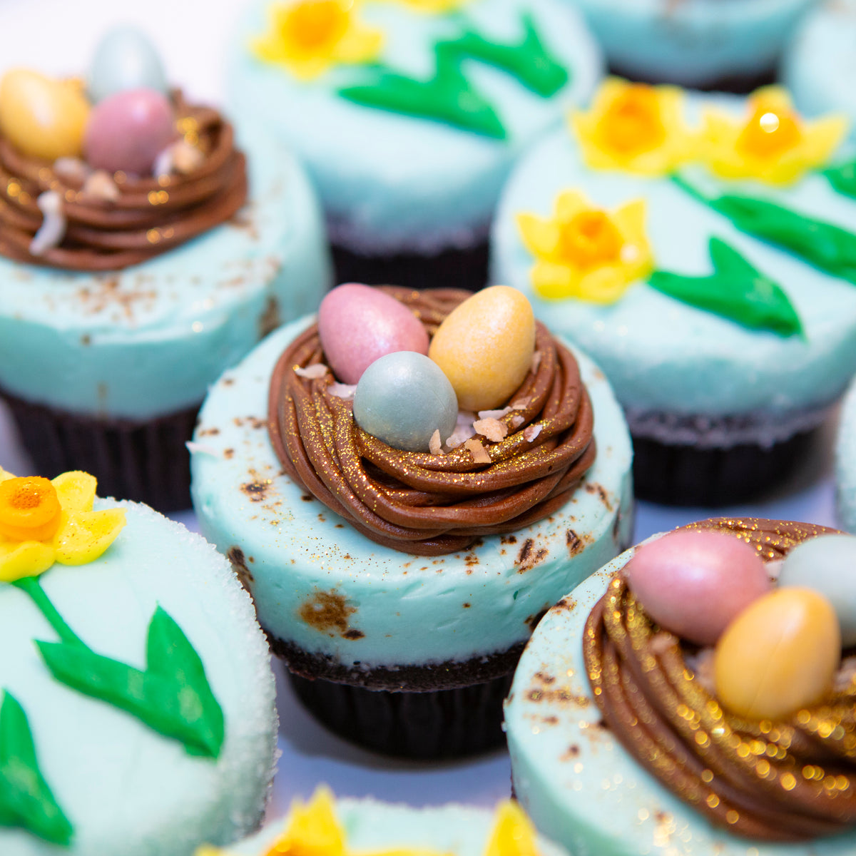 Luxe Spring Dozen – Trophy Cupcakes
